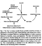 fear-avoidance model - 文献斜め読み2